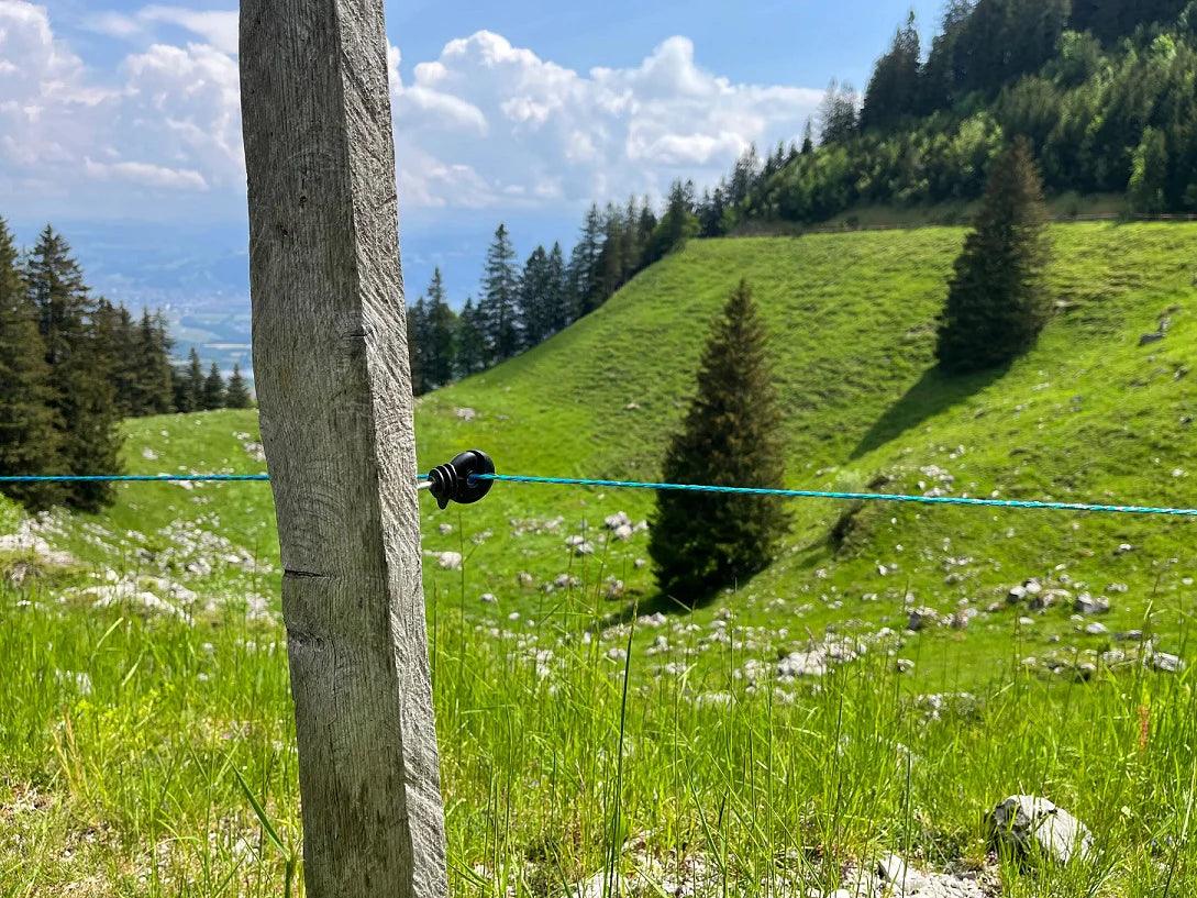 Electric pasture fence - Everything you need to know