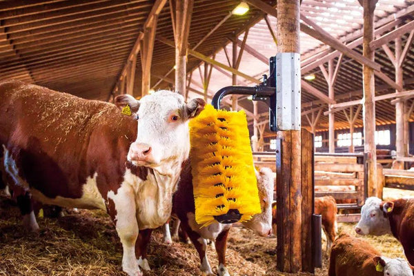 Cattle brush for cattle - Optimal coat care