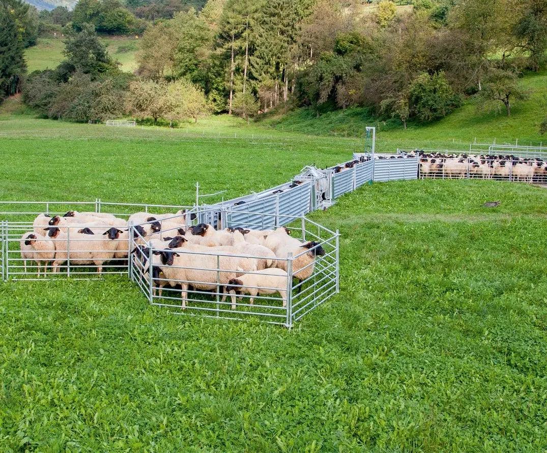 Horde for sheep from Patura