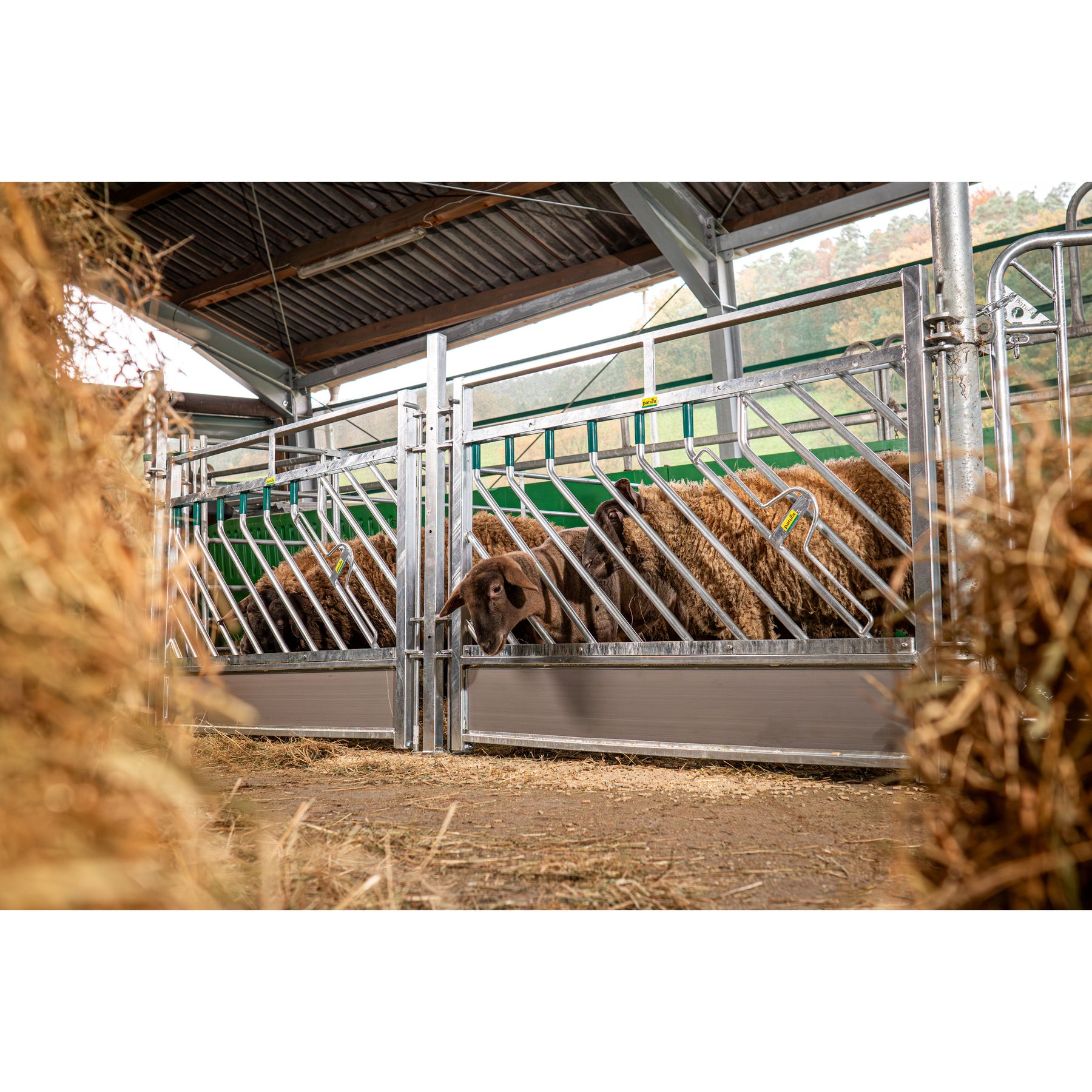 Selbstschließendes Fressgitter Schafe L= 3,89 m, H= 1,00 m 23 Fressöff